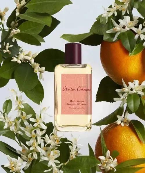 Perfume is actually extracted from feces? - iNEWS