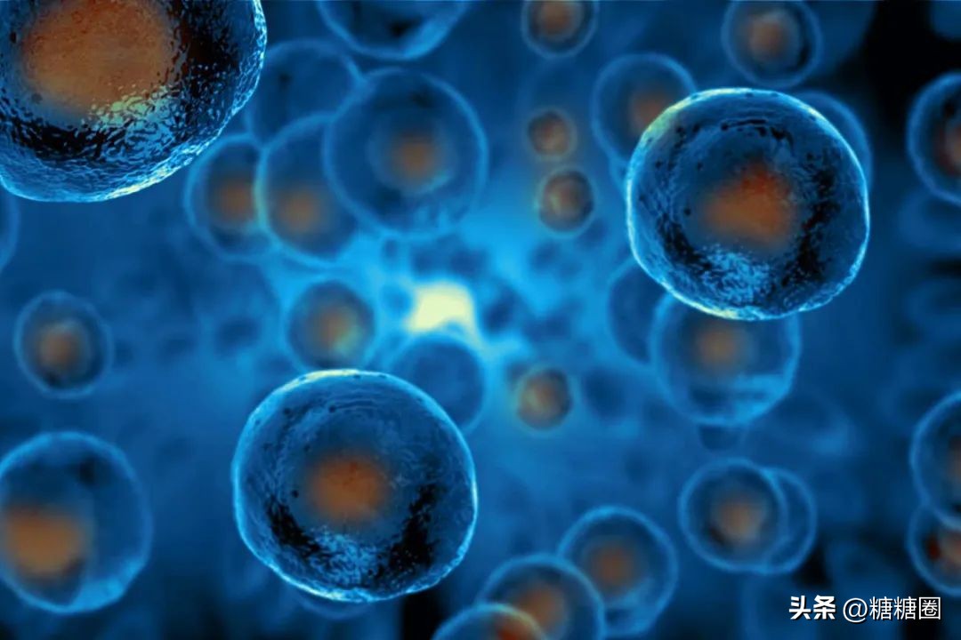 First cell therapy for type 1 diabetes approved in US - iNEWS