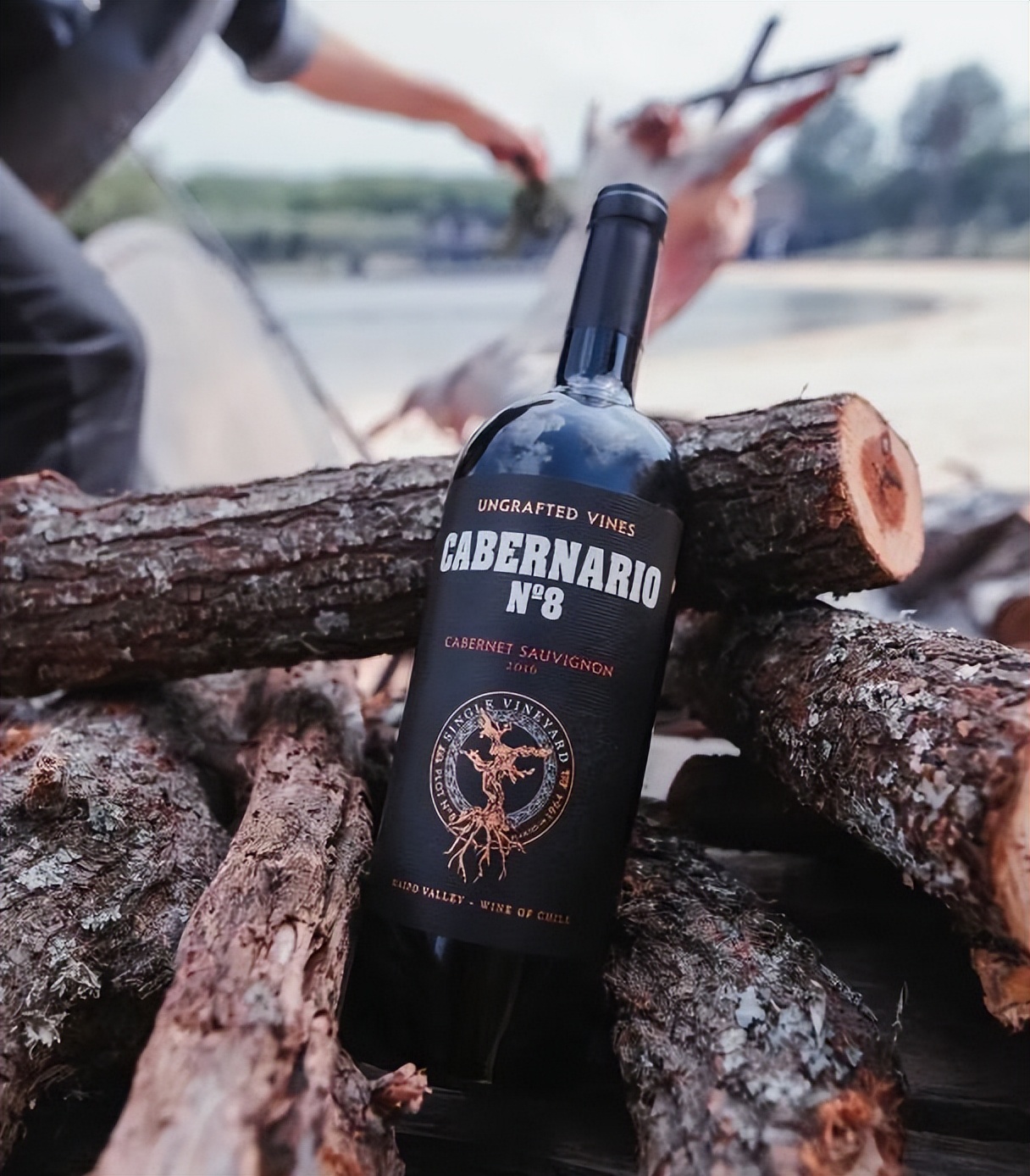 Santa Rita Winery No. 8 Cabernet Sauvignon, showing the charm of a ...