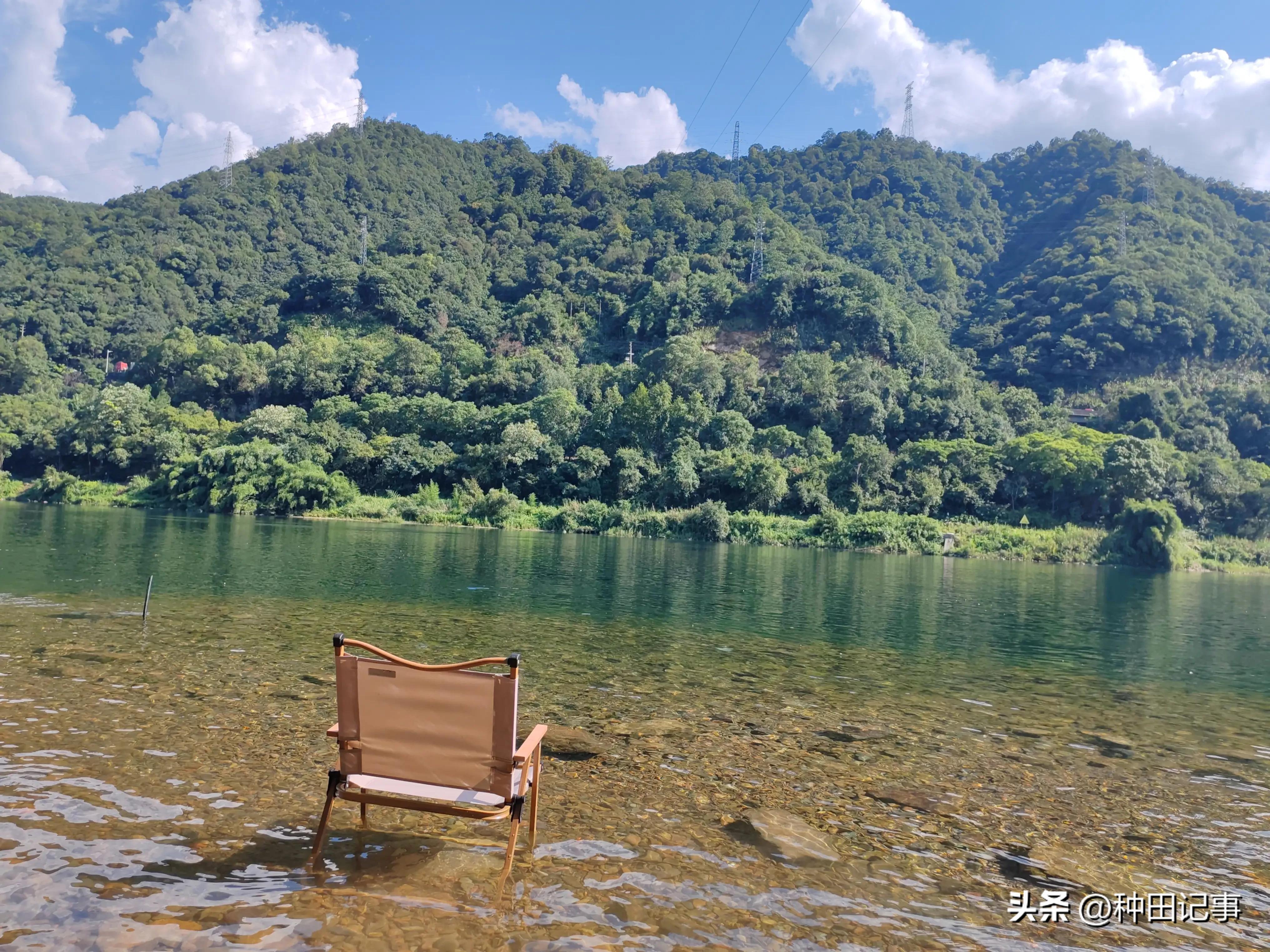 Nongfu Spring is a bit sweet - iNEWS