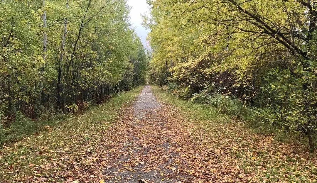 Fall of Autumn - iNEWS