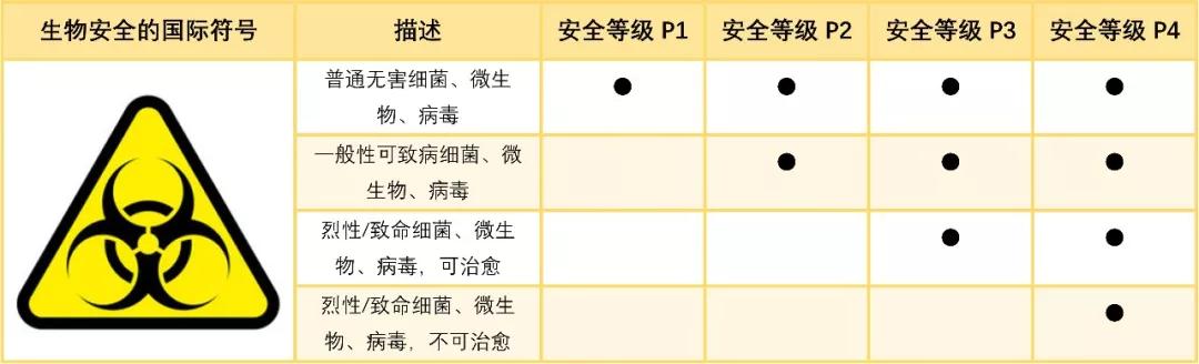 One article to understand the difference between P1, P2, P3, and P4 ...