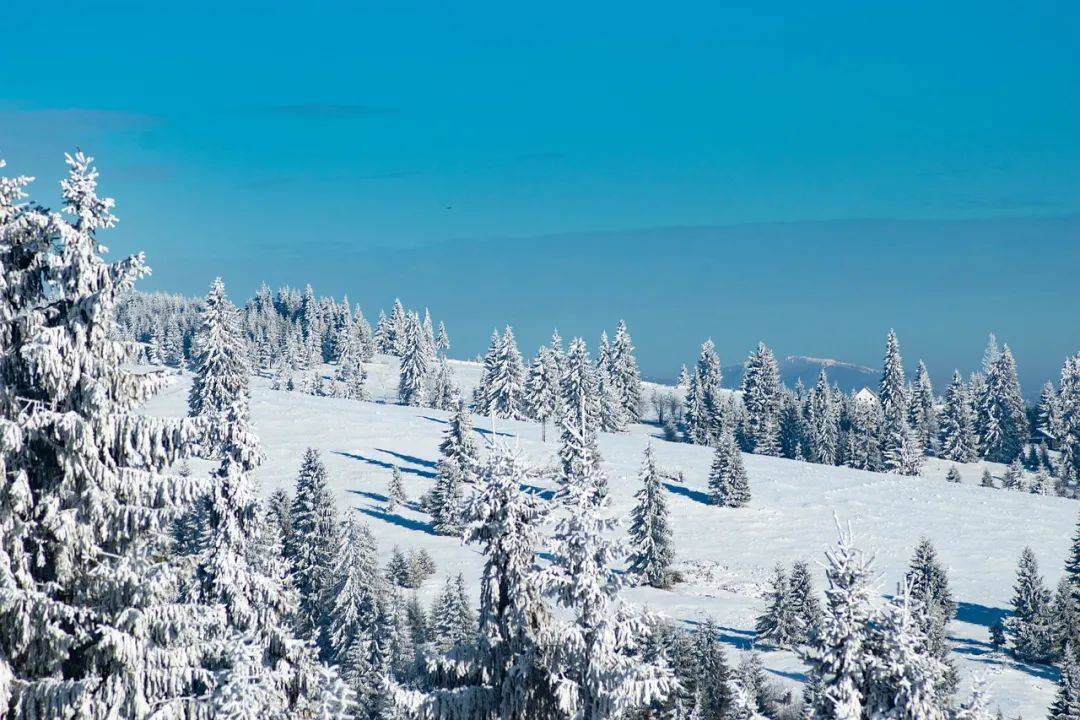 Practical application of the XS channel indicator - iNEWS