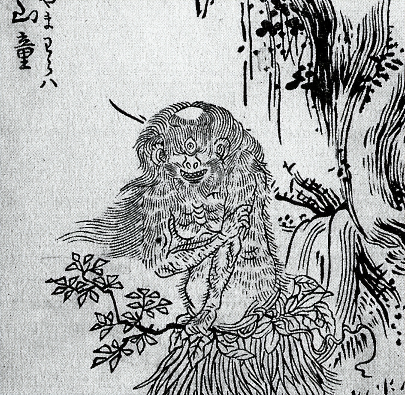 "Knowing the Demon Ninth Issue" Mandrill's active skills are a bit ...