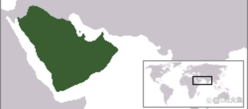 Arab Empire - iMedia