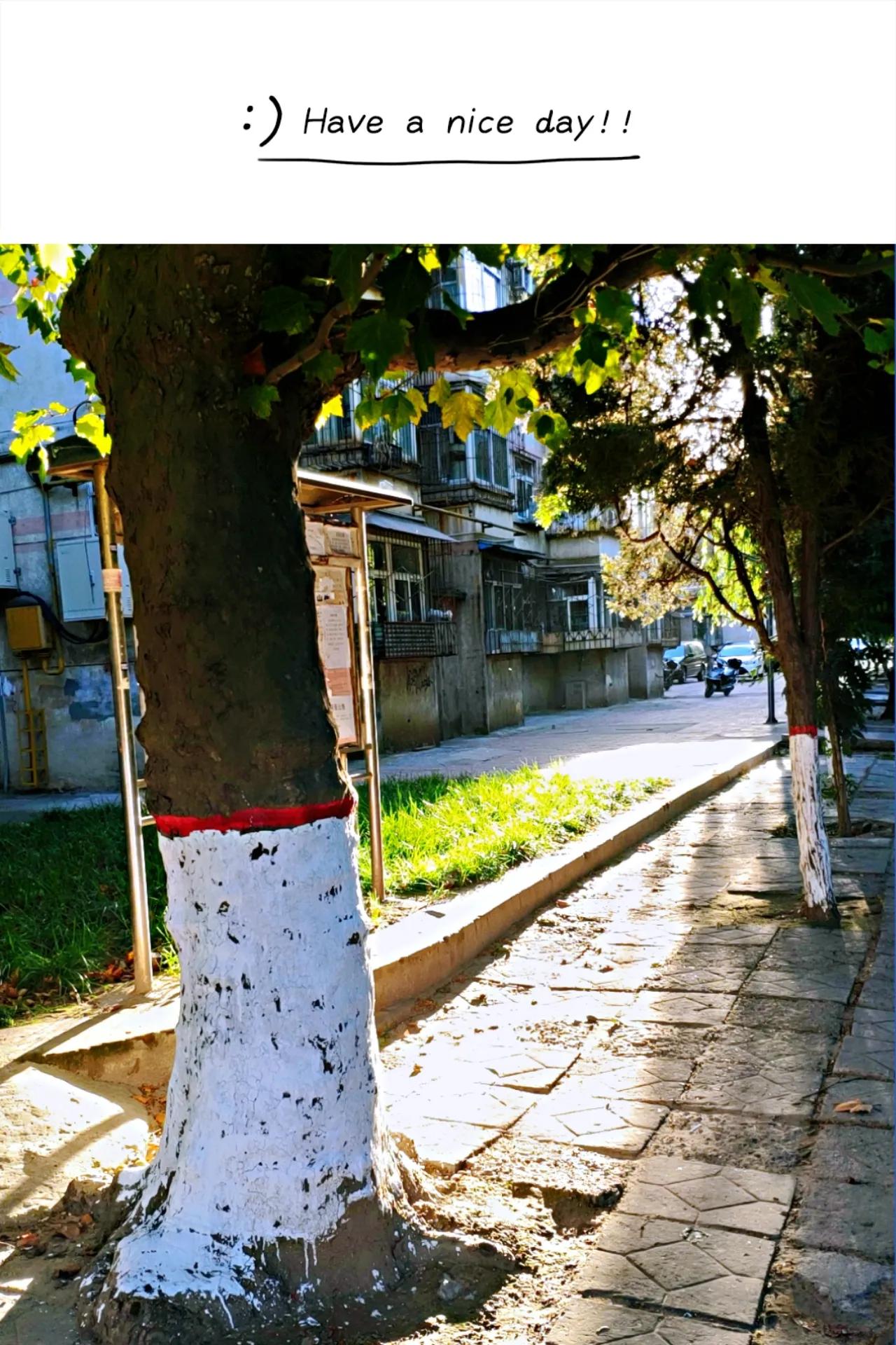 "Afternoon Light in the Quiet Period" (photographed by mobile phone ...