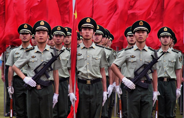 A newborn calf is not afraid of tigers, a small soldier meets the ...