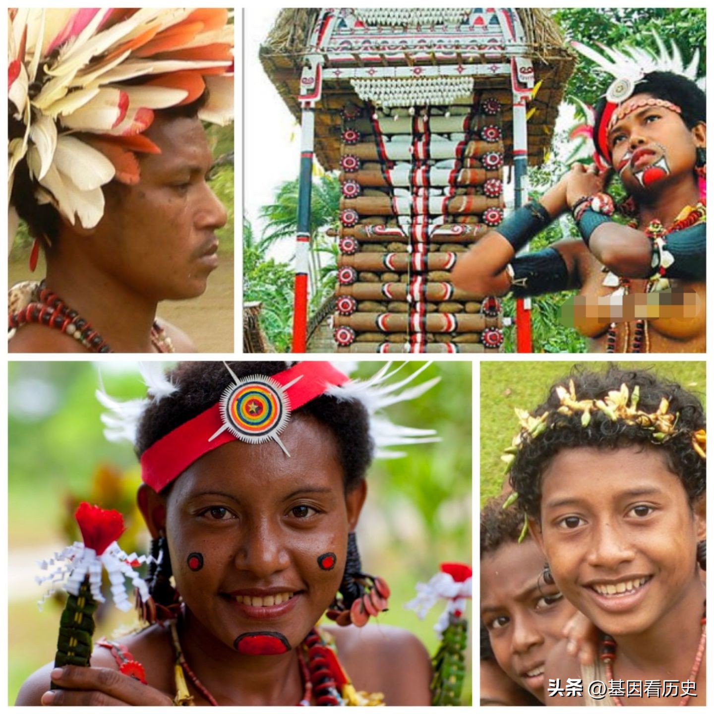 Are the Papuans in Indonesia classified as black people according to ...