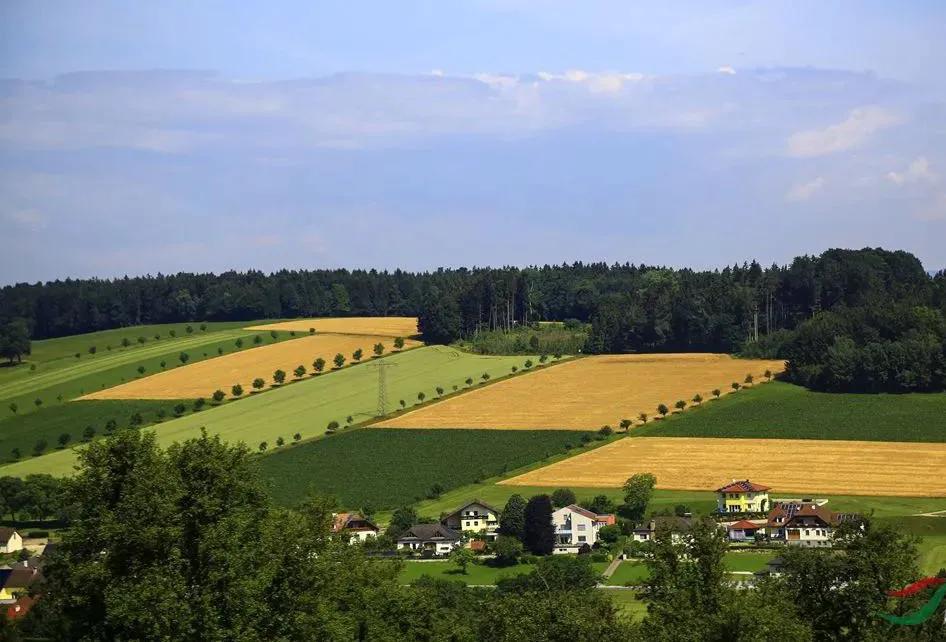 Russia's three climate zones - iNEWS