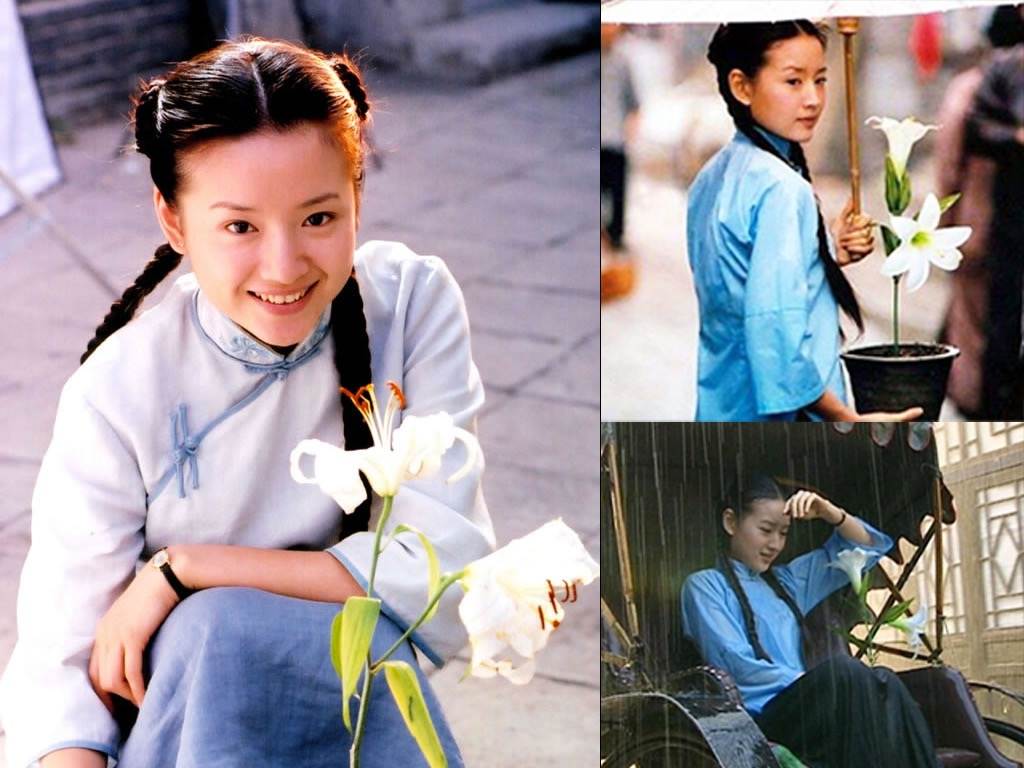 "Golden Fen Family": After 10 years, I no longer feel sorry for the ...