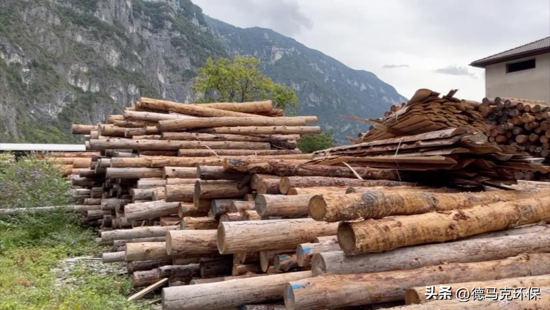 The people are madly grabbing firewood, and the bosses of the wood ...