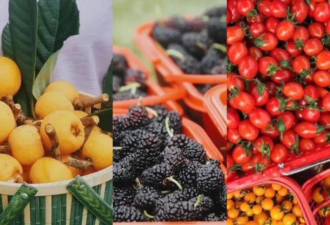 The fruit is just ripe, come to Chengdu to give your mouth a holiday ...