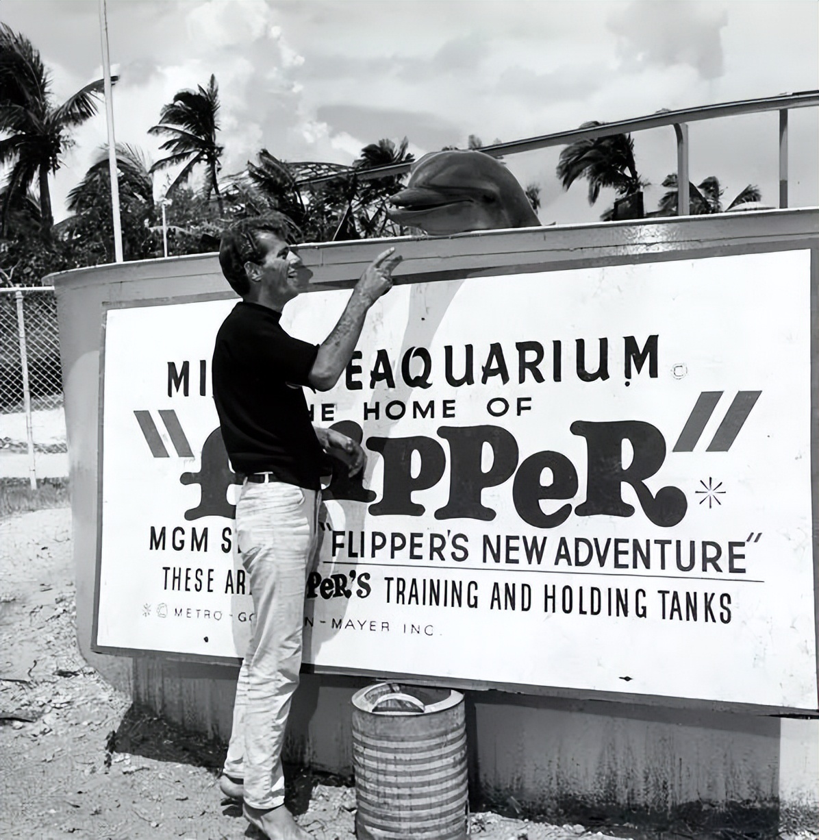 What did the Oscar-winning documentary "The Cove" let people see? - iNEWS