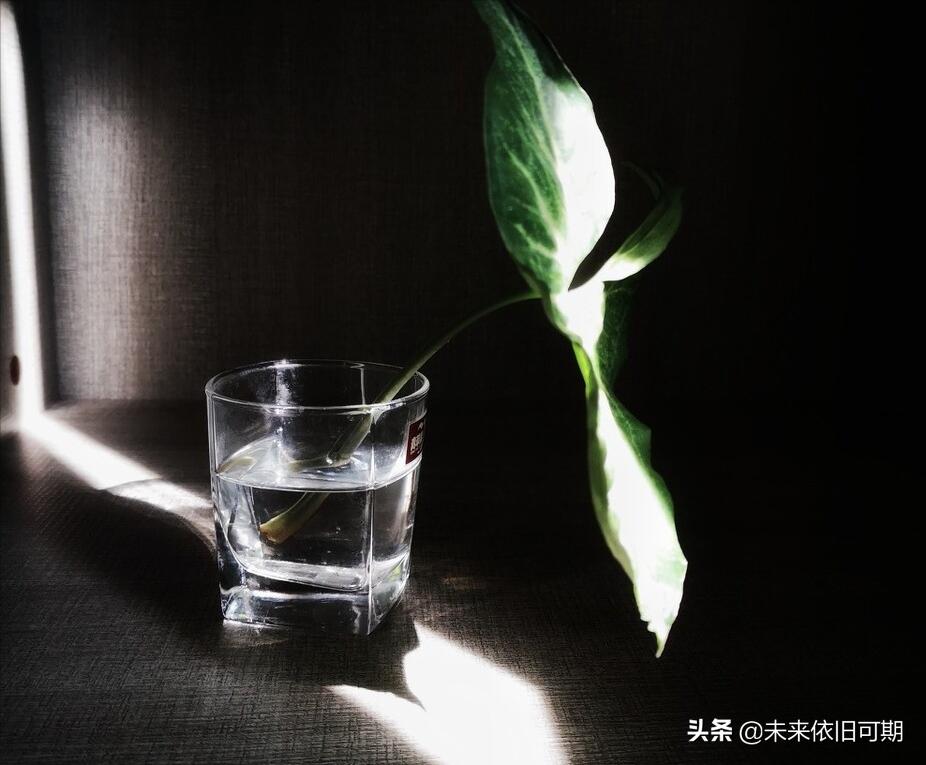 Shanghai Organic Institute men put foreign objects in girls cups, when ...