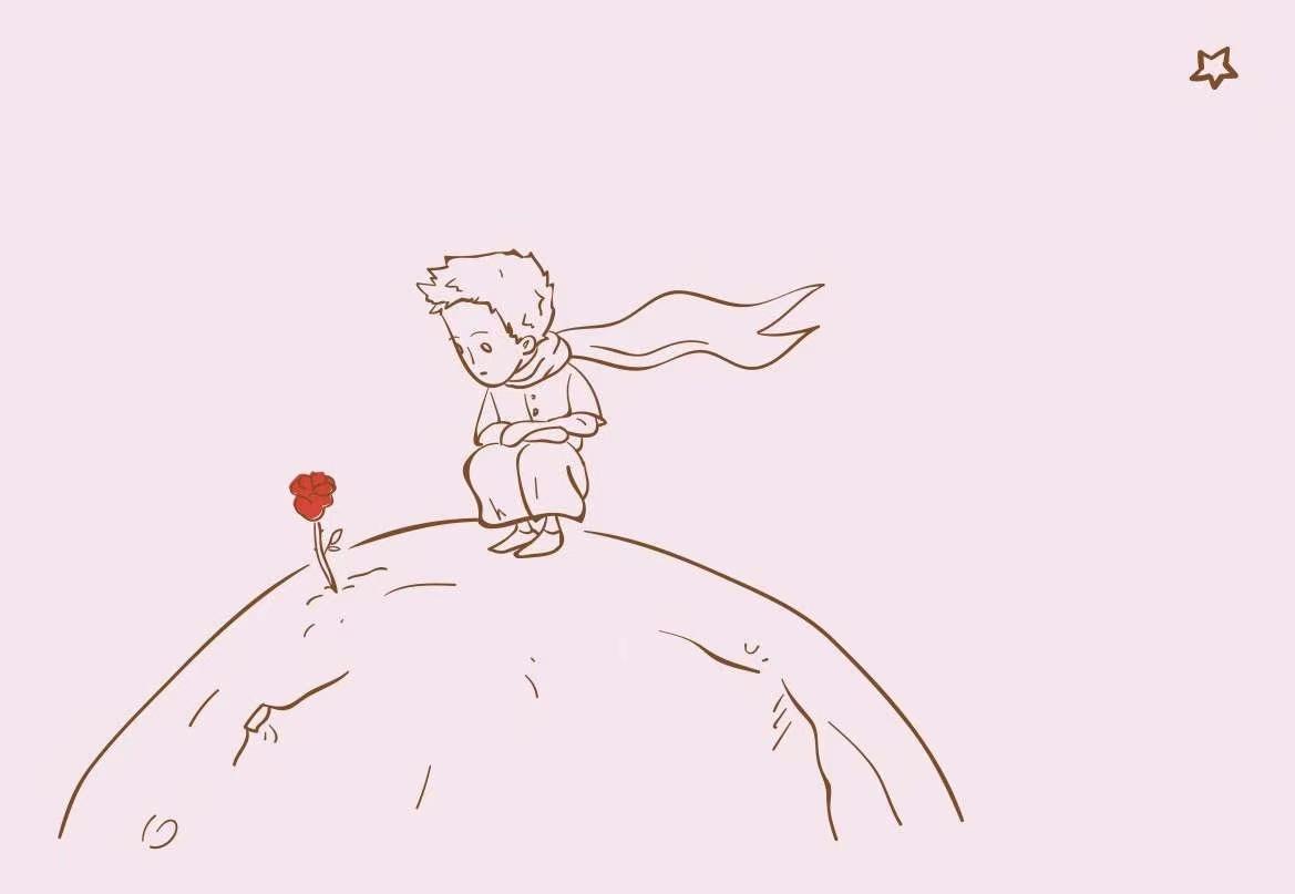 The love between the little prince and the rose, have you hit it? - iNEWS