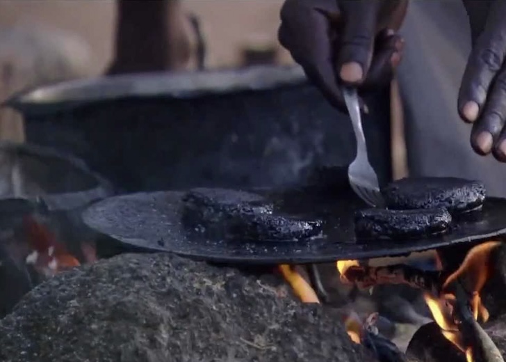 In foreign countries, mosquitoes are made into hamburger patties ...