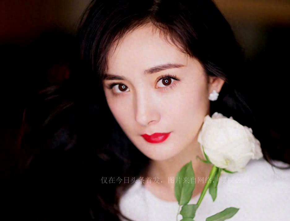 Yang Mi returned to Hong Kong to see her daughter. She and Xiao Nuomi played with cats and ...