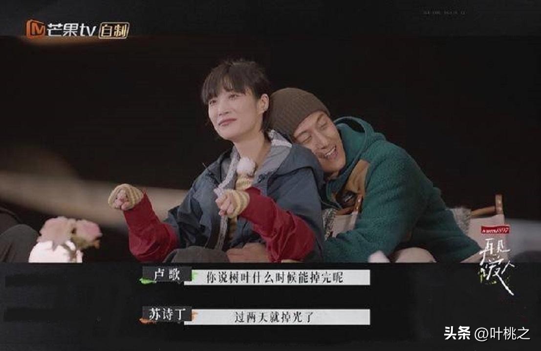 "Goodbye Lover" Su Shiding and Lu Ge's love is so beautiful, why do ...