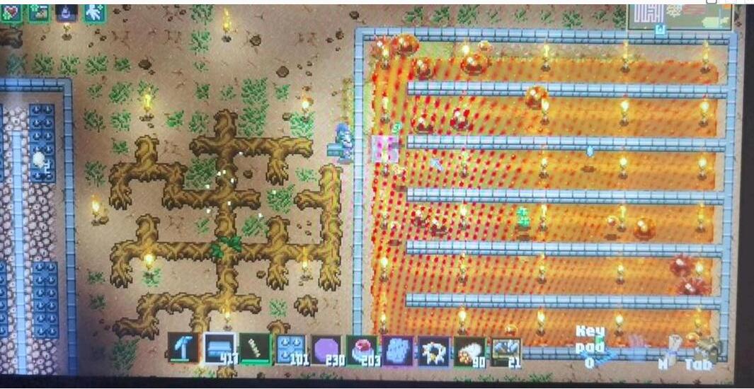 How to arrange the monster farm in "Core Protector"?Experience in the ...