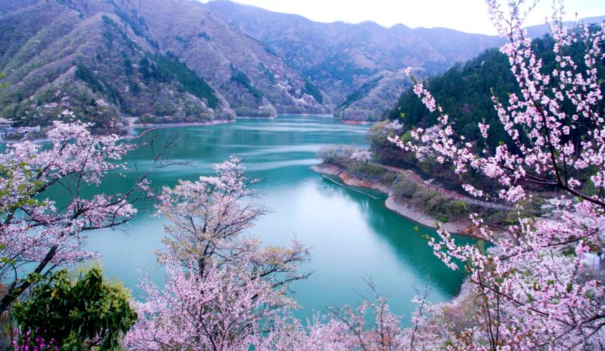"Okutama" free travel in the suburbs of Tokyo: Tour Okutama Lake ...
