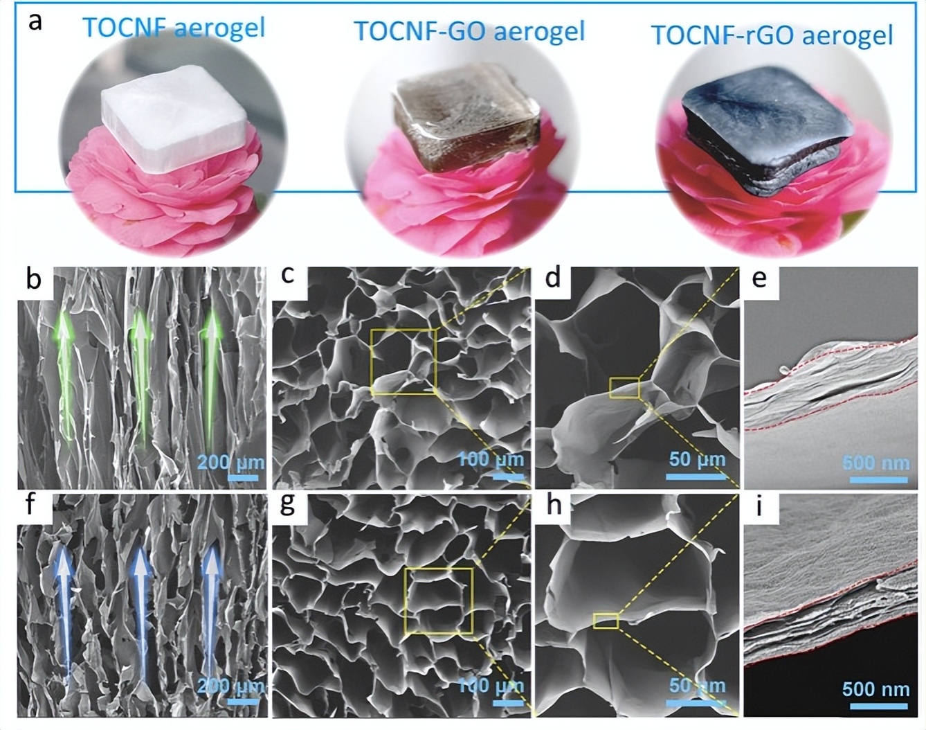 Central South University of Forestry and Technology: TOCNF-rGO airgel ...