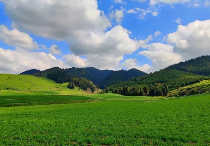 The birthplace of Li Bai's famous poems through the ages - Jimsar ...