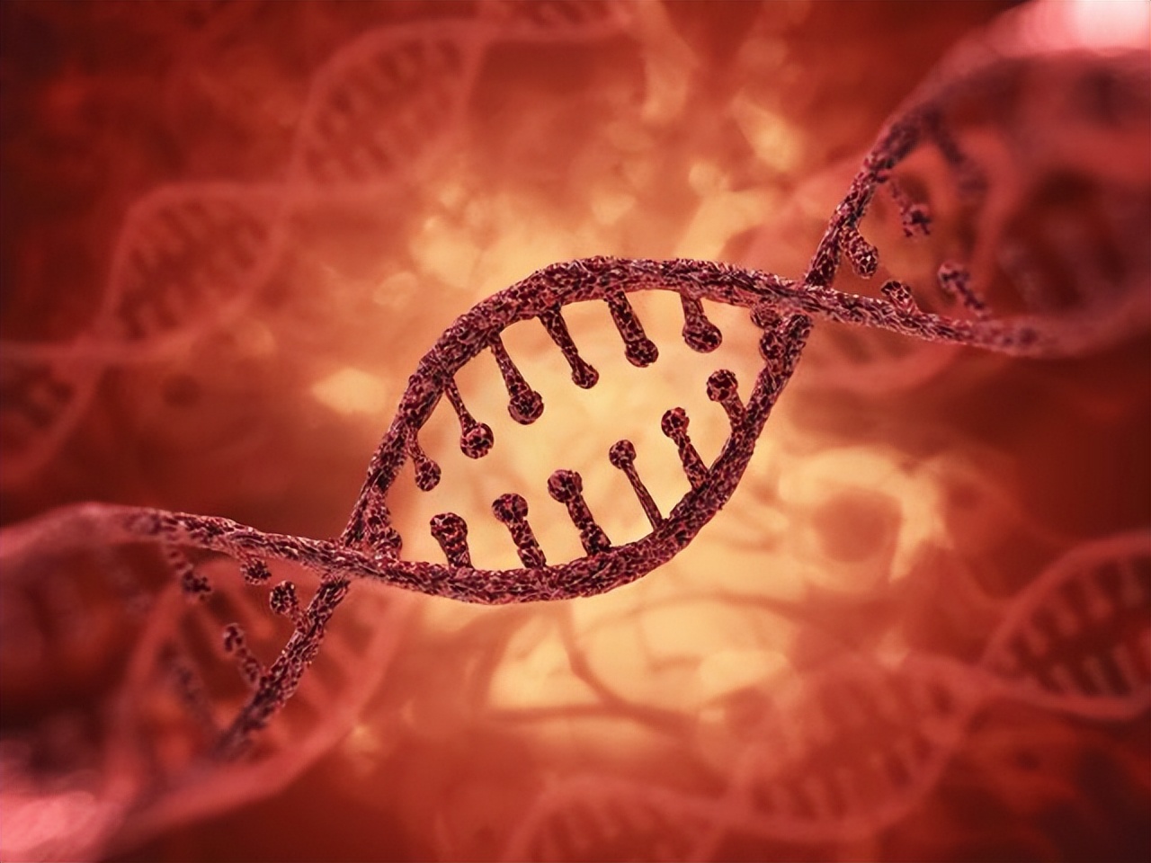 Authoritative study: Neonatal immune system is closely affected by ...