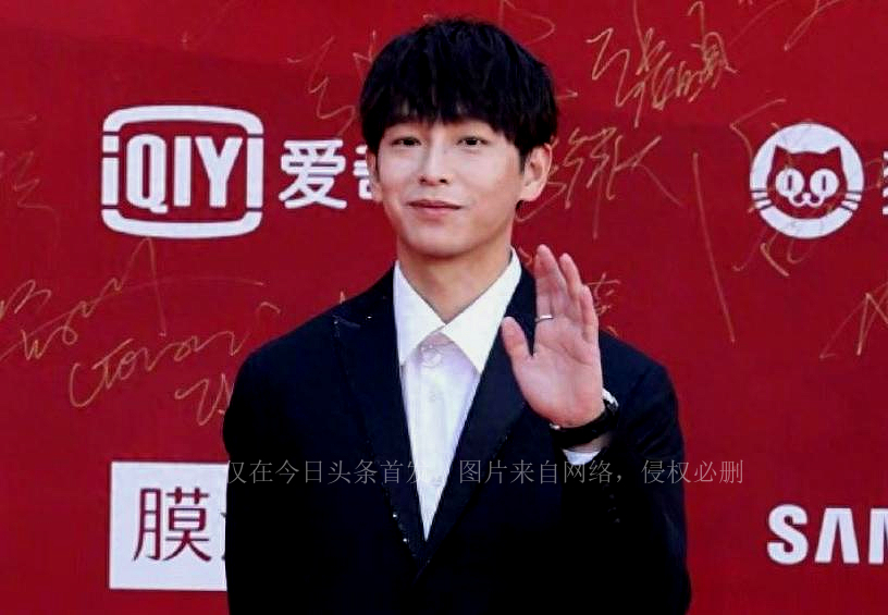 Male stars work hard on the red carpet, Zhu Yilong has a mysterious ...