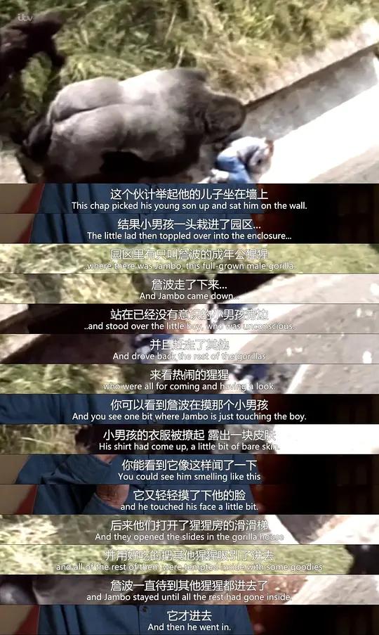 The Movie "Dreyer's Family": the relationship between man and nature ...