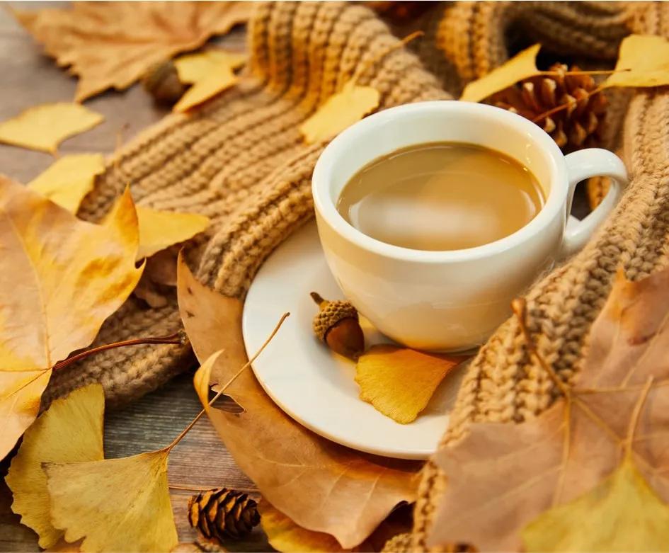 The first cup of milk tea in winter - iNEWS