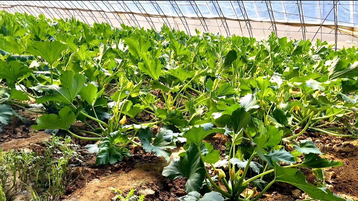 When all things are in contention, work hard - iNEWS