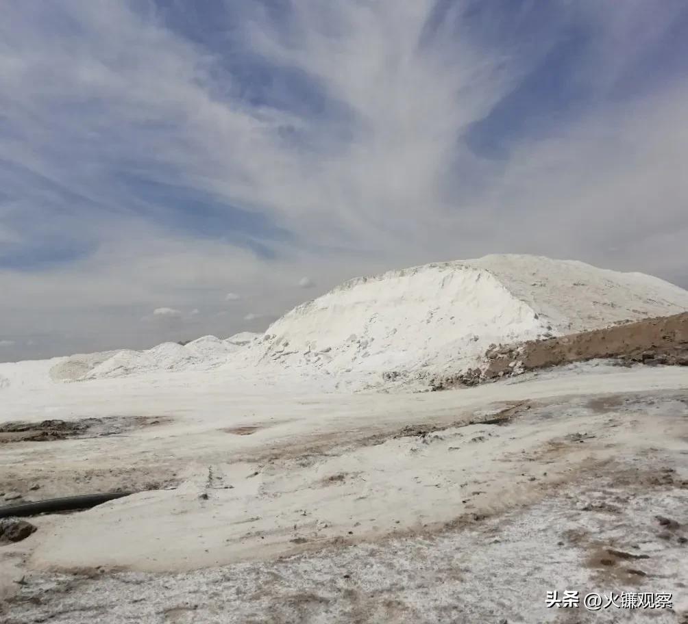 Beiyang Characters: The Lineage of Prince Heshuo of Alxa Banner - iNEWS