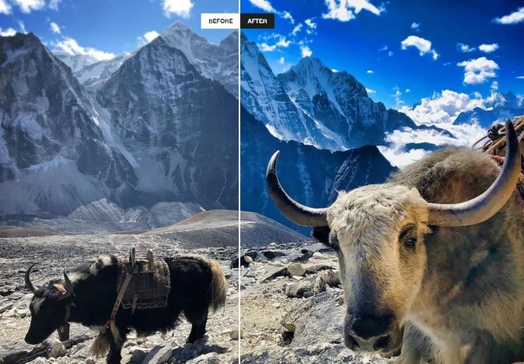 Known as "the world's first fully automated photo processing software ...