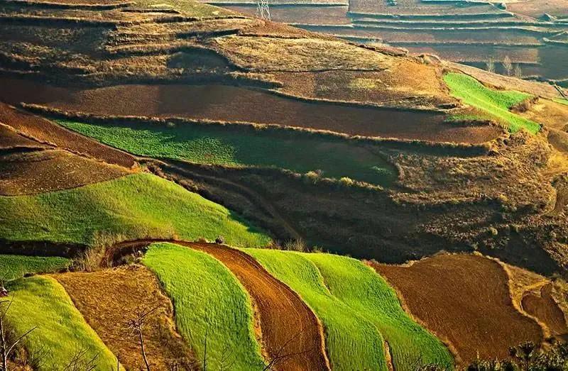 What is the meaning of the old saying in the countryside: "No matter ...