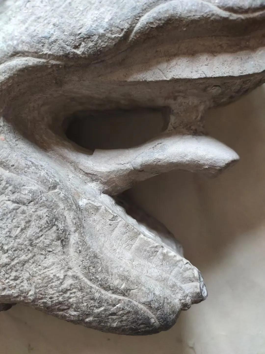 Ming Dynasty round carved bluestone dragon head - iNEWS