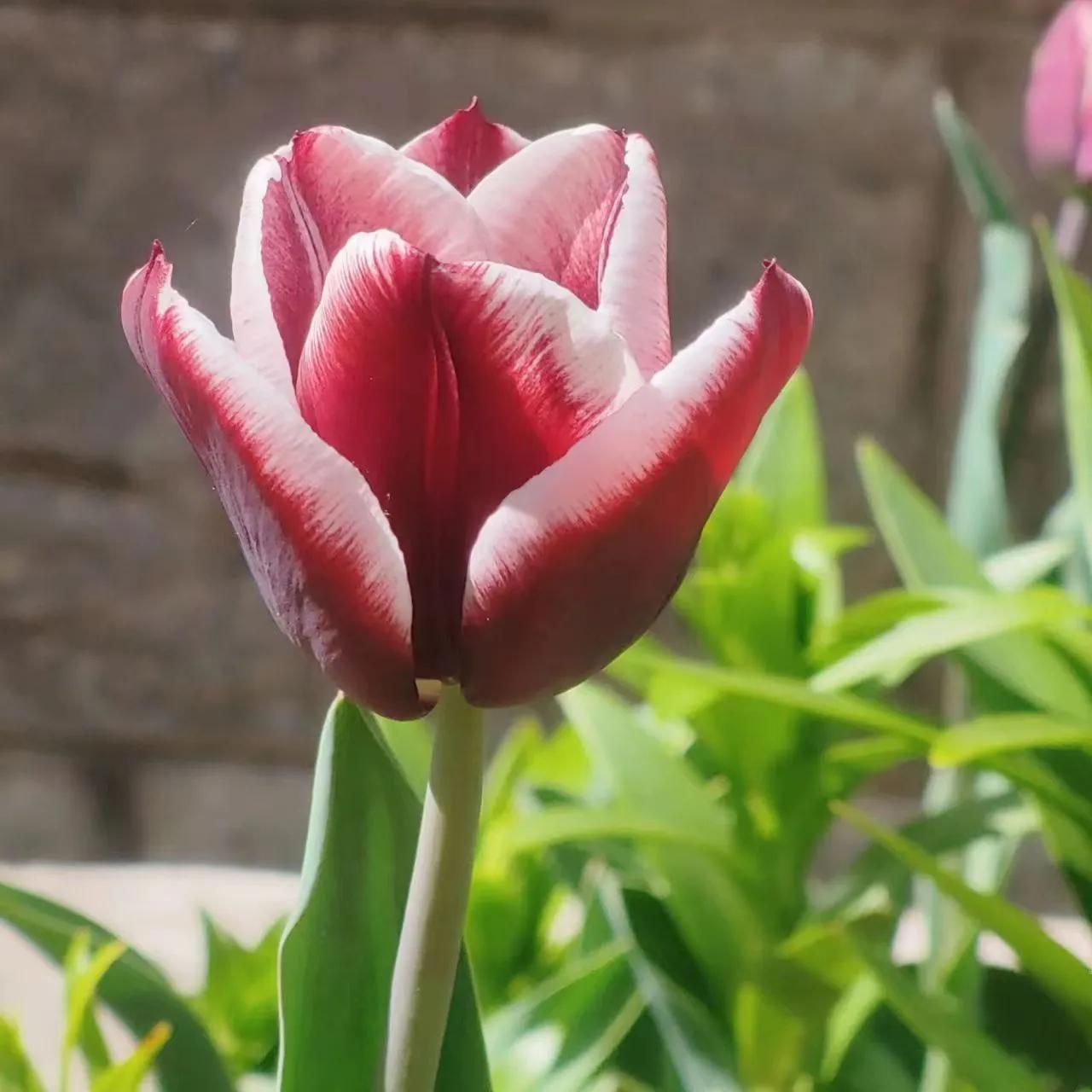 Accompany your child through adolescence smoothly with love and respect ...