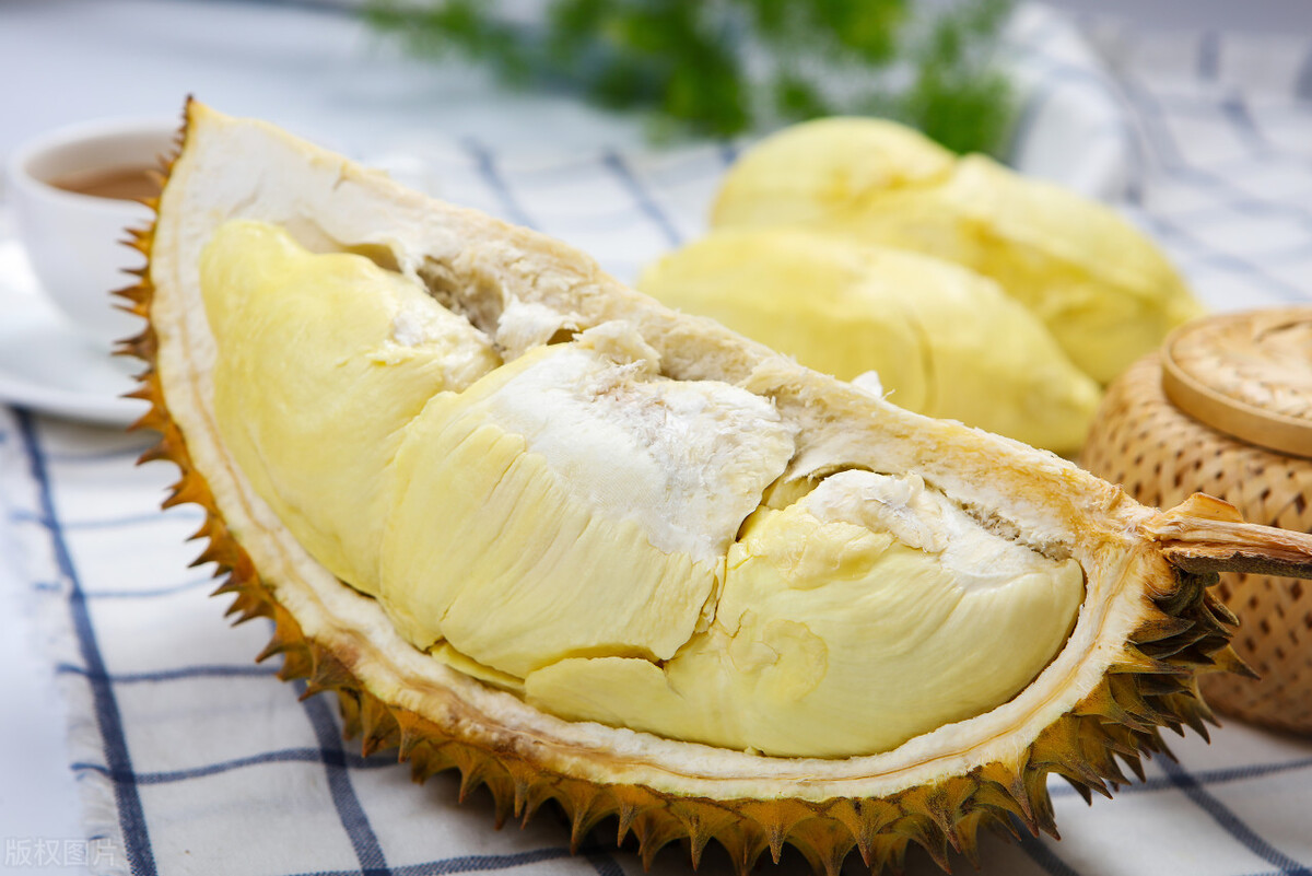 After Thailand and Vietnam, Philippine durian is coming!"Durian Freedom ...