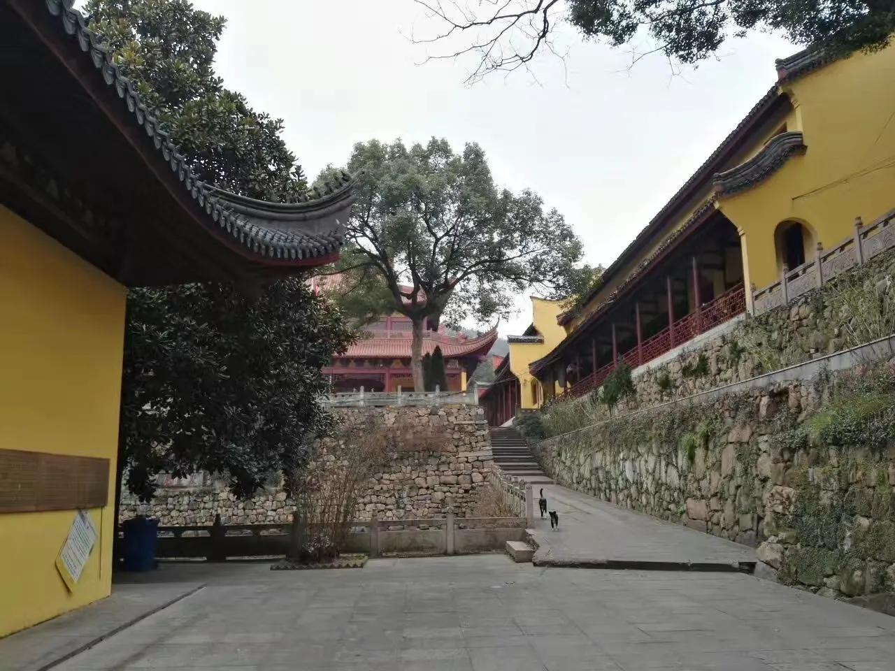 Climbing to Daochang Mountain, the thousand-year-old temple actually ...
