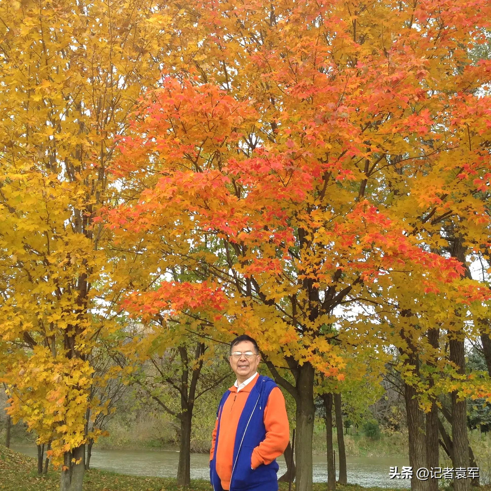 Two Ancient Poems by Zhao Zeming - iNEWS