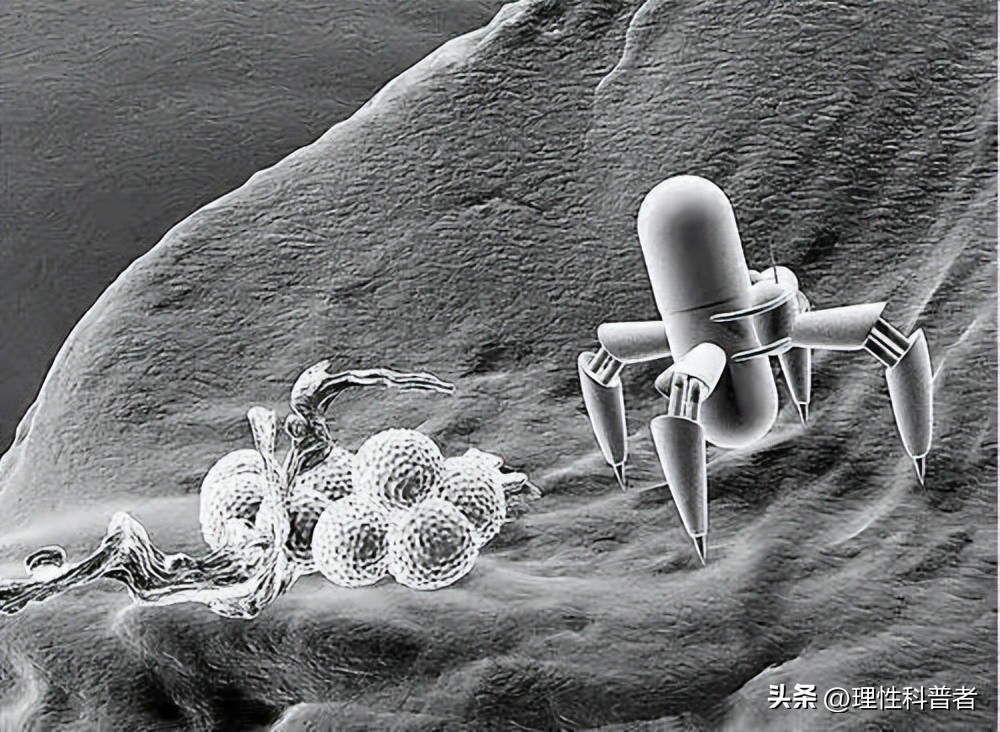 Nanorobots, walking inside the human body, impact human health and ...