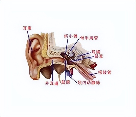 Otitis externa is not a minor illness! - Know its types, hazards ...