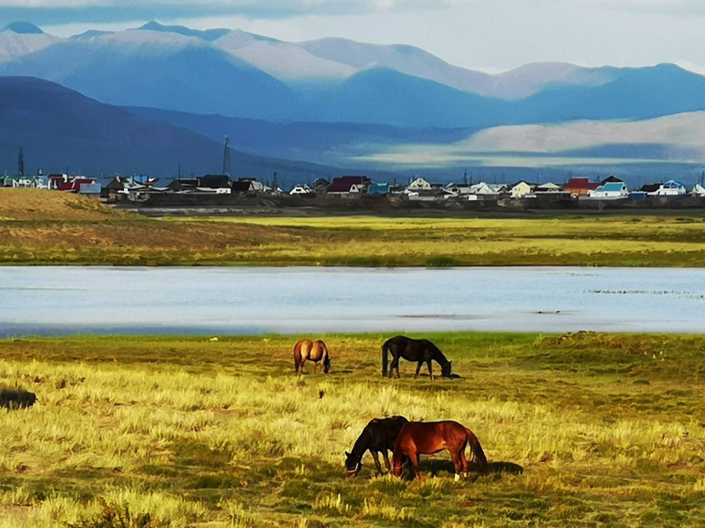 The singer's eyes were full of tears, and he looked confused: Why is ...