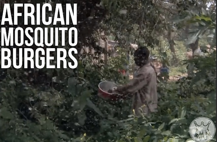 In foreign countries, mosquitoes are made into hamburger patties ...