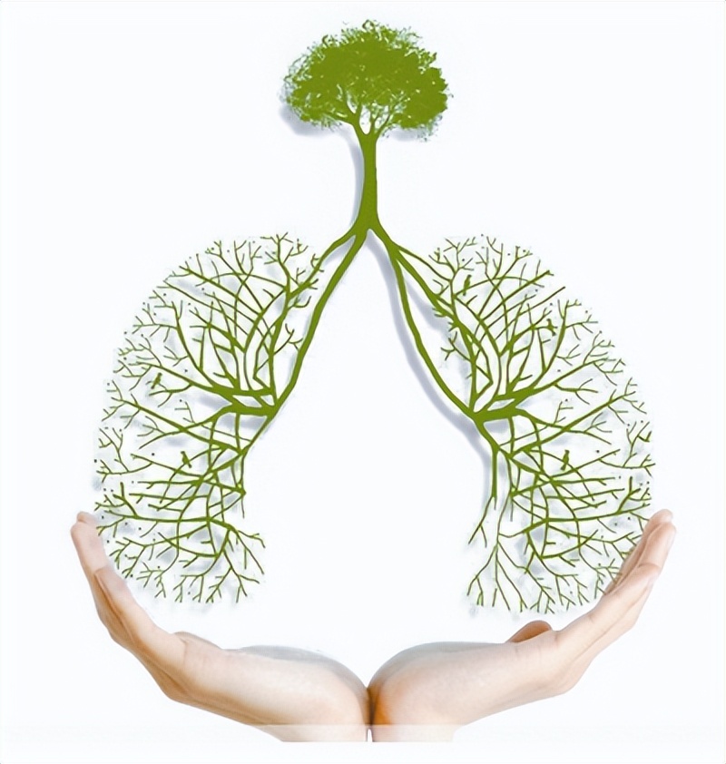 End tuberculosis, share health science popularization - iNEWS