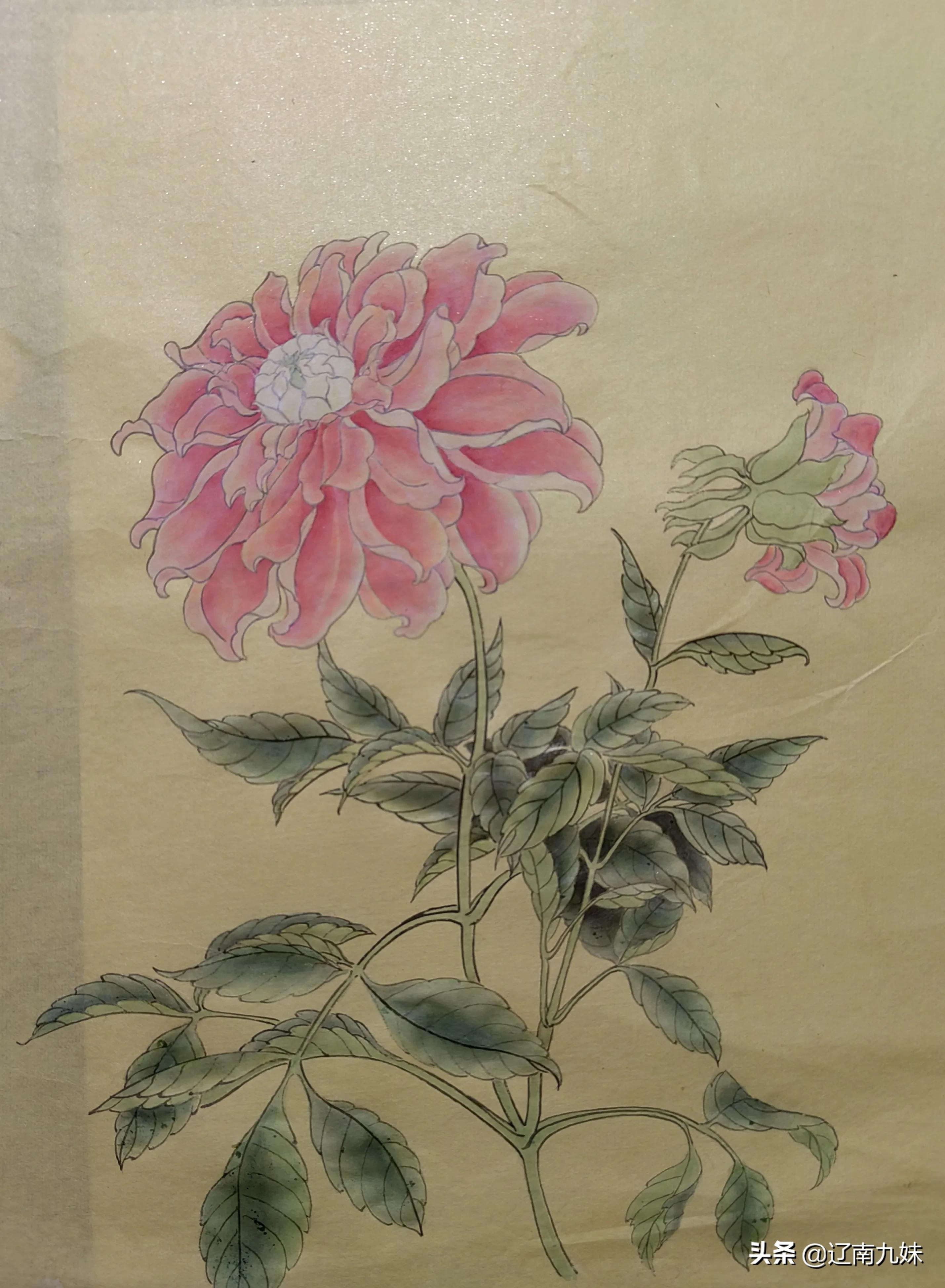Drawing process of fine brushwork flowers - iNEWS