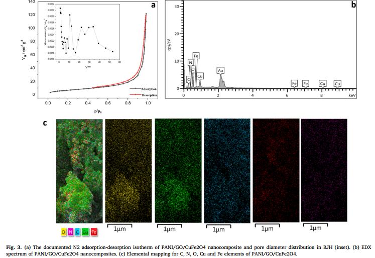 Synergistic PANI/GO/CuFe2O4 nanocomposites for high performance ...
