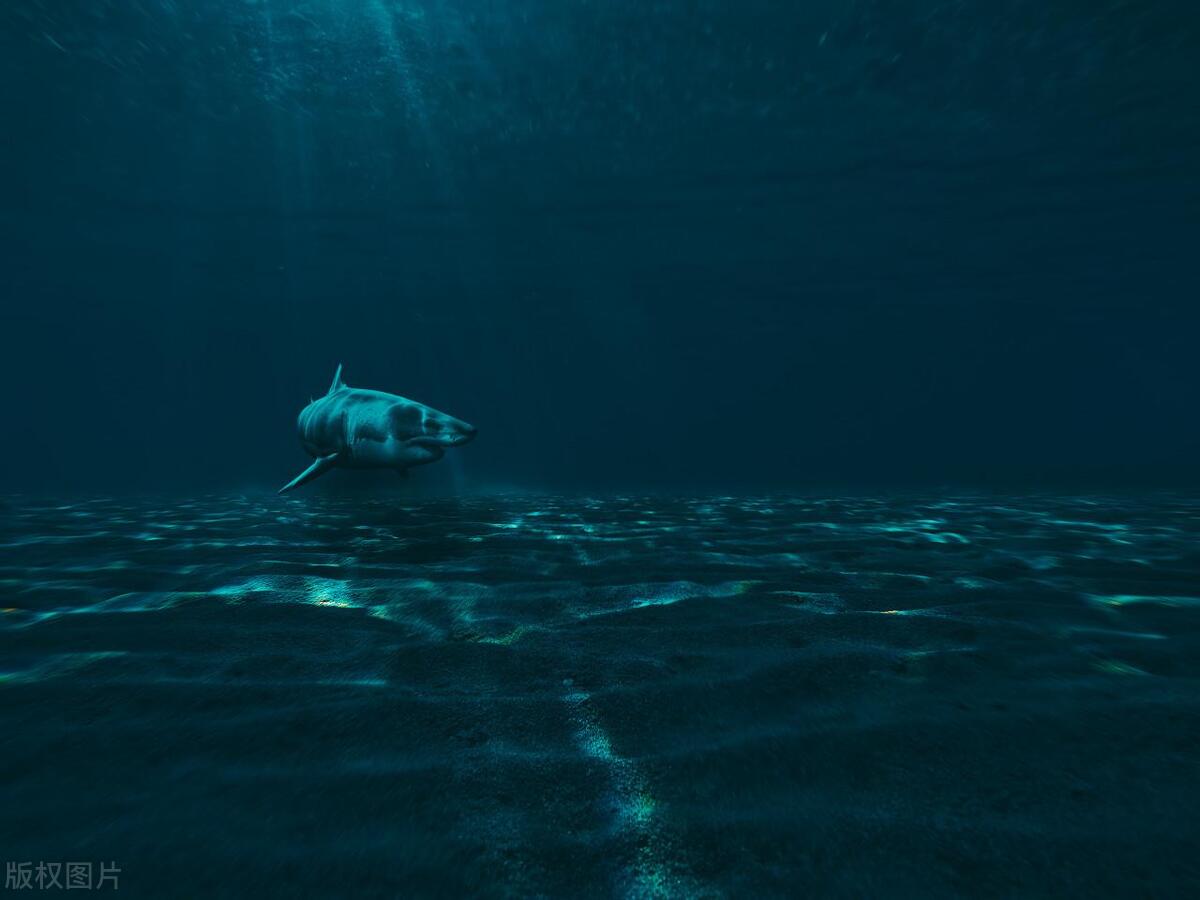 The Dangerous World of the Deep Sea: Explore the Extreme Challenges of ...