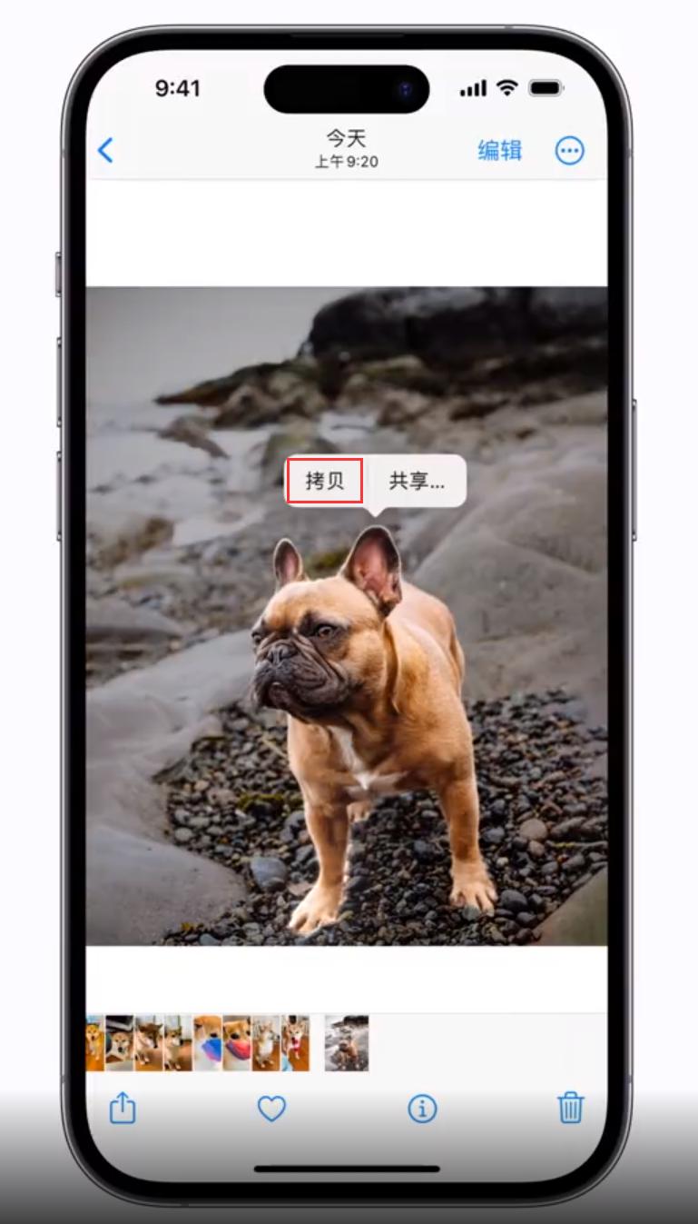 How to use Apple iOS 16 one-click cutout function - iNEWS