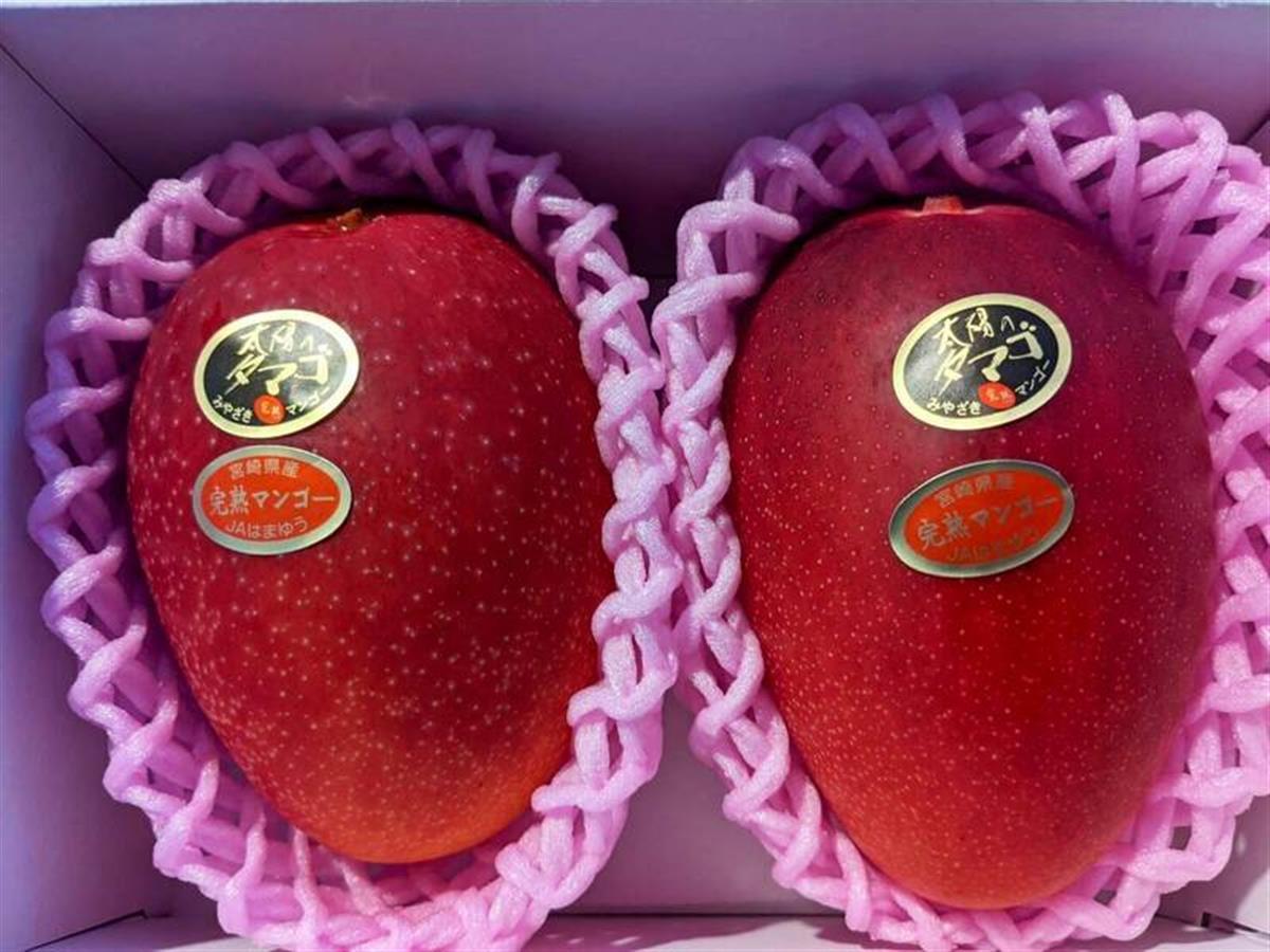 The sky-high price of mangoes in Japan costs 30,000 yuan for 2 pieces ...