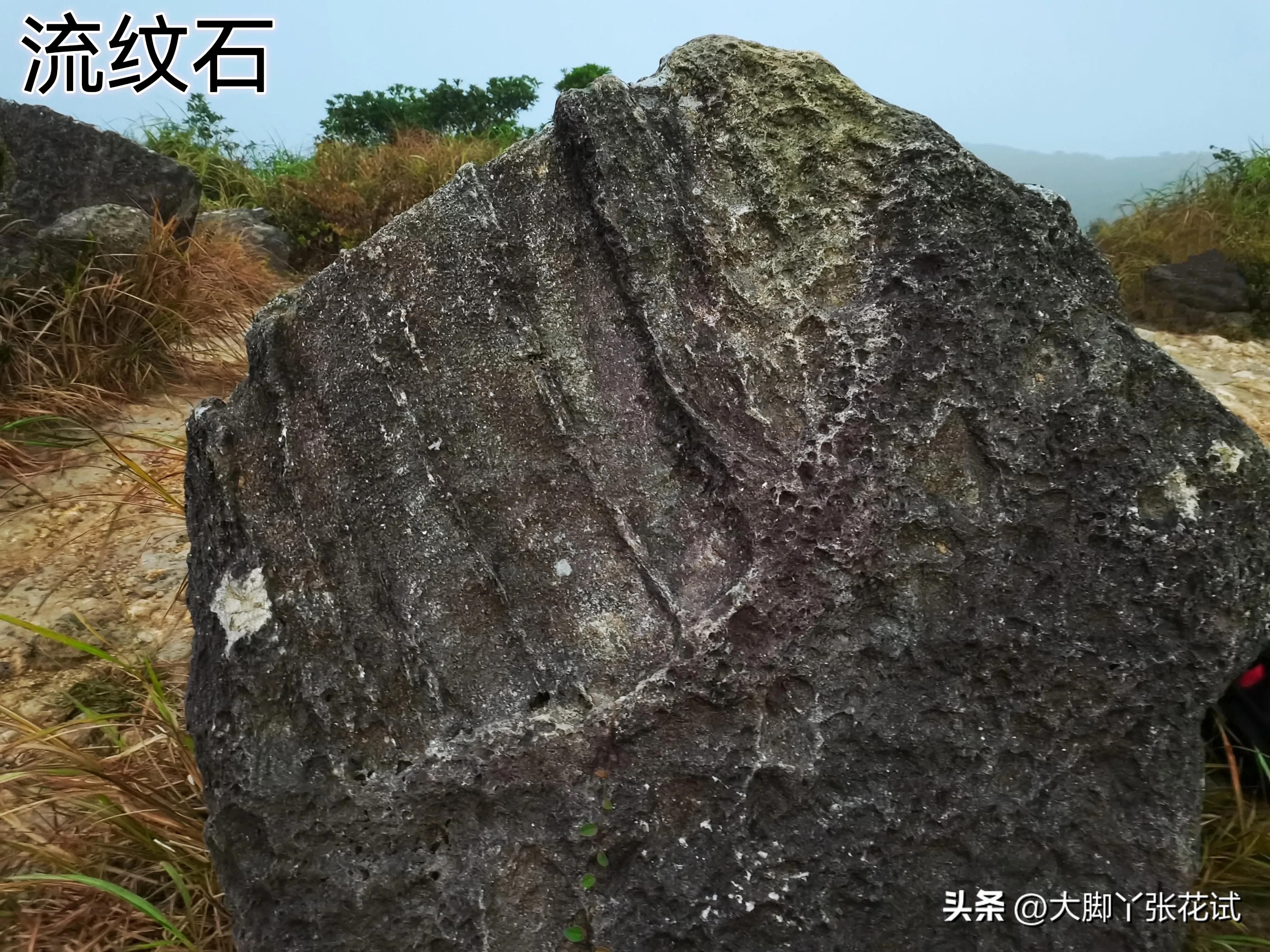 Reloaded and crossed Qiniang Mountain to experience the sour feeling of ...